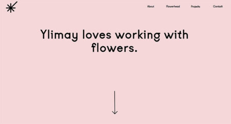 30 Pink Websites for Design Inspiration - Vandelay Design